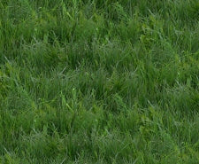 Home › Grass Fabric Elizabeth Studio Fabric Landscape Medley green 2858