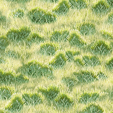 Home › Landscape Fabric, Grass Fabric, Unbridled 7205