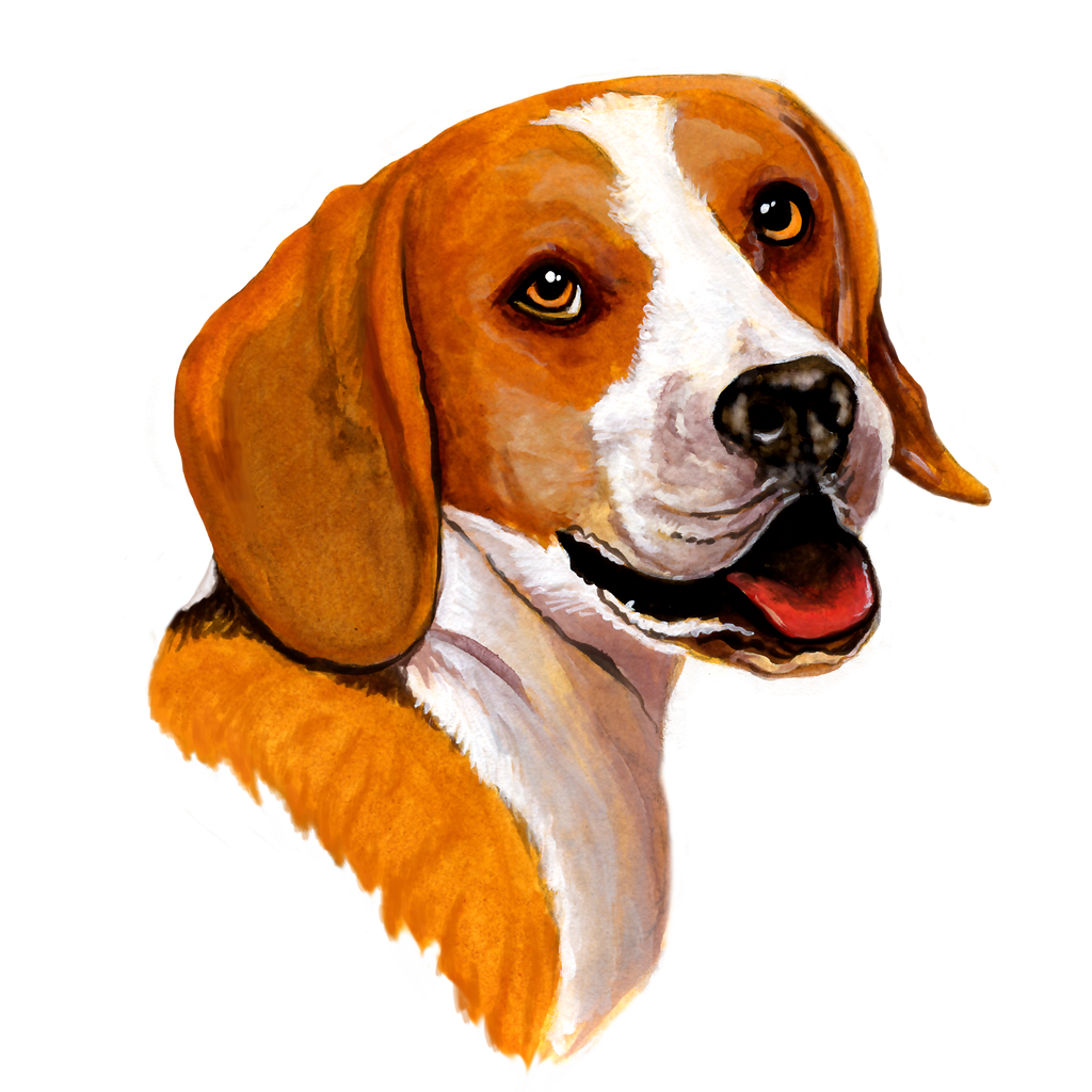 Home › Dog Fabric, Beagle Fabric, Custom Print Fabric 5478