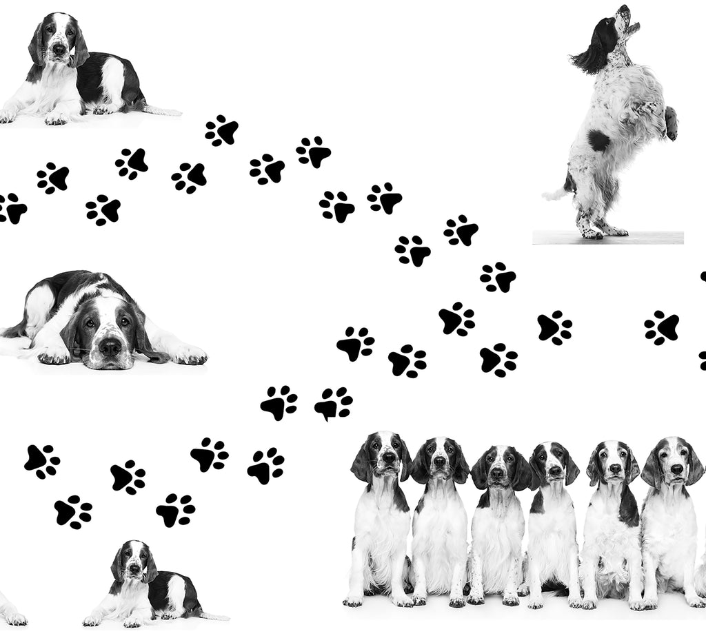 Home › Dog Fabric, Springer Spaniel Fabric, Cotton or Fleece 1883